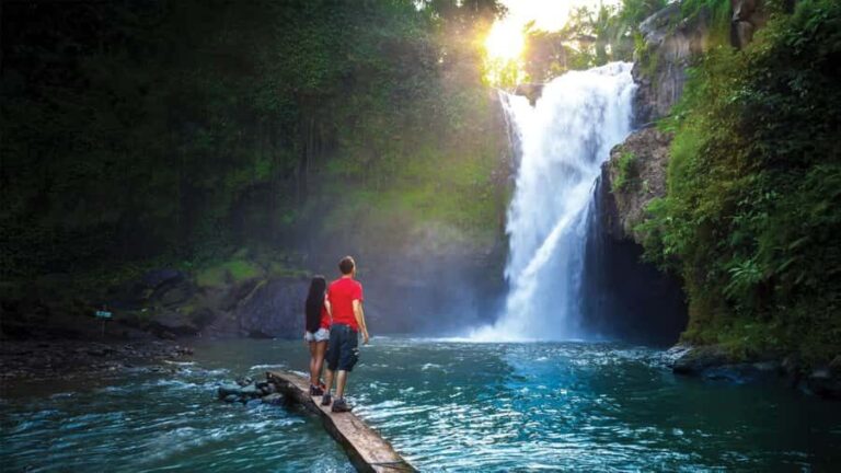Bali: Discover Paradise Waterfalls - An In-Depth Look at the Waterfalls and Journey