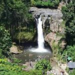 Bali Discovery: Waterfalls, Butterfly Park & Village Life - Who Will Love This Tour?