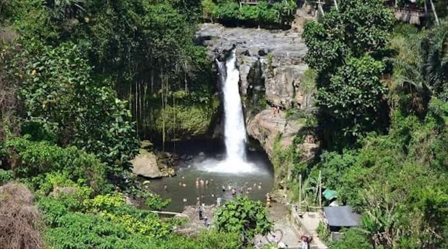 Bali Discovery: Waterfalls, Butterfly Park & Village Life - Who Will Love This Tour?