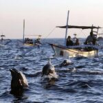 Bali Dolphin Lovina Watching, Swimming and Snorkeling Tour - The Experience Through the Eyes of Travelers