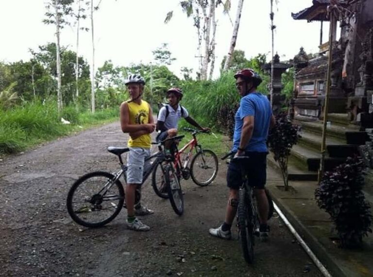 Bali Downhill Cultural Cycling Tour - What Travelers Say