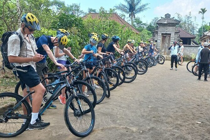 Bali Downhill Cycling Kintamani to Ubud with Private Transfer - FAQ