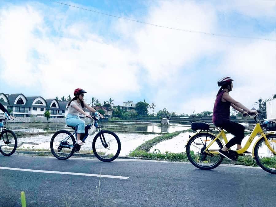 Bali: Electric Bike Cycle Tour through Rice Terrace - An In-Depth Look at the Bali Electric Bike Tour