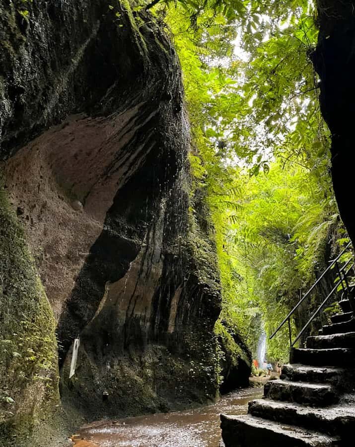 Bali Epics Journey Waterfalls Tracking Tour - A Closer Look at the Waterfalls Tour