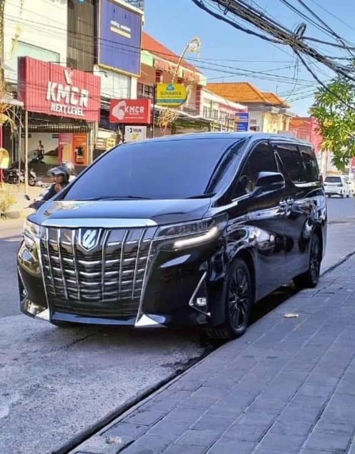 Bali: Exclusive VIP & Fully Customizable Private Luxury Trip - What to Expect: A Day of Tailored Discovery