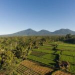 Bali Experience: Dance, Purification, & Culinary Journey - Practical Details and Considerations