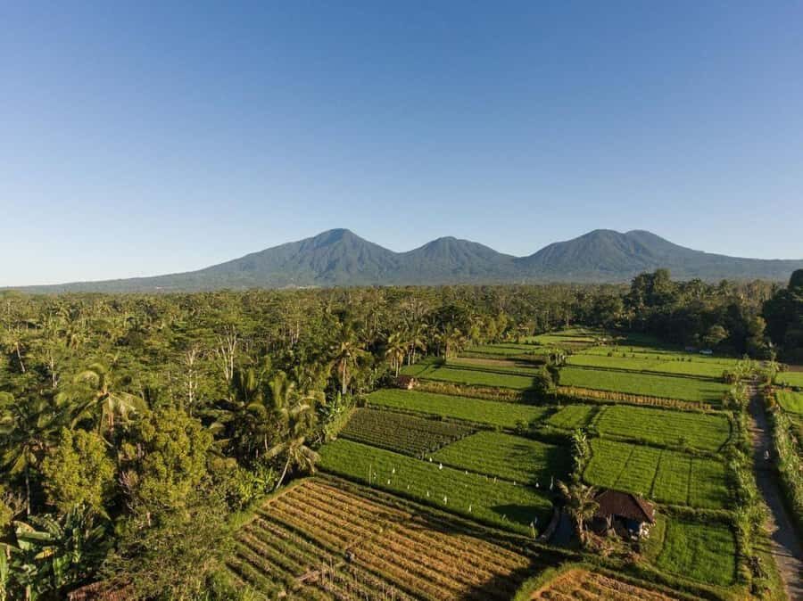 Bali Experience: Dance, Purification, & Culinary Journey - Practical Details and Considerations