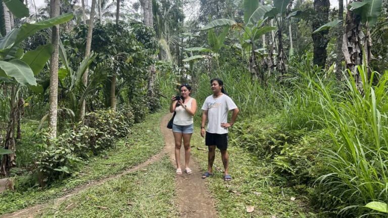 Bali: Explore the Hidden Trails of Taro Village - The Itinerary in Detail