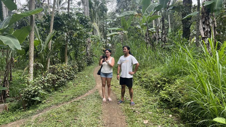 Bali: Explore the Hidden Trails of Taro Village - The Itinerary in Detail