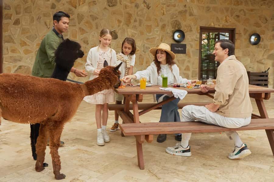 Bali: Farm House Experience with Entry Ticket & Options - What to Expect During Your Visit