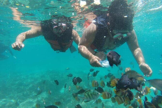 Bali: Fishing trip & Blue Lagoon Snorkeling - All inclusive - Deep-Sea Fishing Adventure