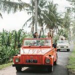 Bali Full-Day The Gate of Heaven Tour by VW Safari Classic Car - Who Will Love This Tour?