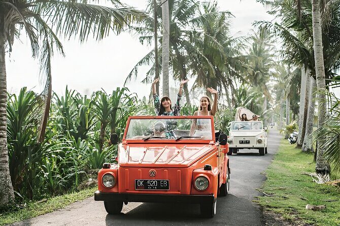 Bali Full-Day The Gate of Heaven Tour by VW Safari Classic Car - Who Will Love This Tour?