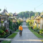 Bali: Full-Day Trip to Penglipuran Village and Bamboo Forest - Details That Matter