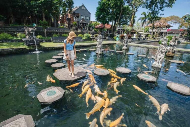 Bali: Gate Of Heaven and Water Palace Tirta Gangga Package - The Practicalities