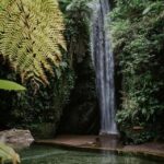 Bali: Goa Rang Reng Waterfall, Temple, and Jungle Swing Tour - The Morning: Magic at Goa Raja Waterfall