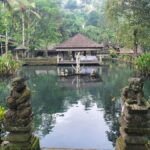 Bali: Guided Understanding Bali Ancient Civilization History - What to Expect: Practical Details