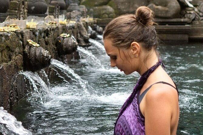 Bali Highlight Customized Full Day Private Tour - Who Should Consider This Tour?