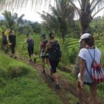 Bali: Hill Side Lemukih Treeking with Amazing view - Practical Details & Tips