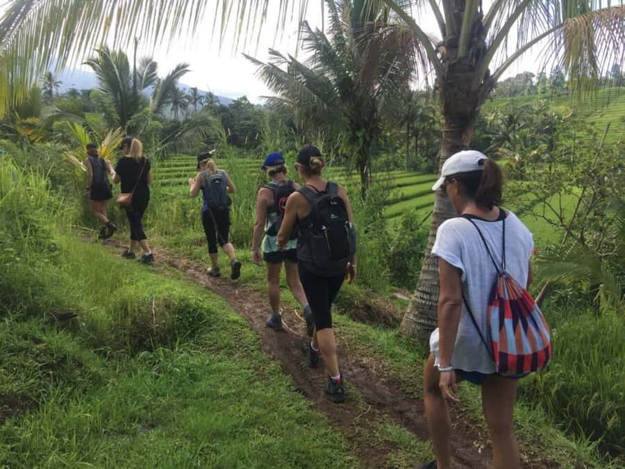 Bali: Hill Side Lemukih Treeking with Amazing view - Practical Details & Tips