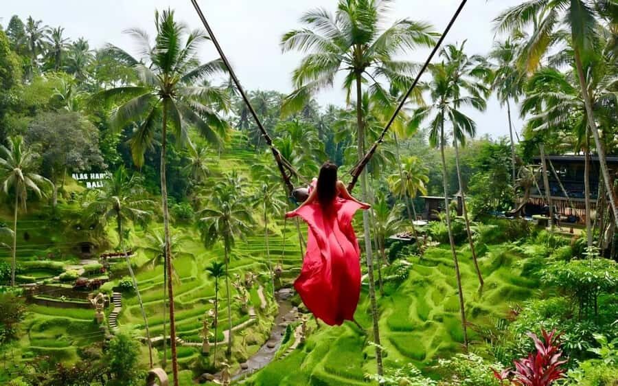 Bali--Honeymoon Romantic Package 5D4N - Deep Dive into the Experience Value