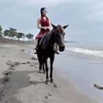 Bali Horse ride at Saba beach Horse tour - A Closer Look at the Bali Horse Ride Experience