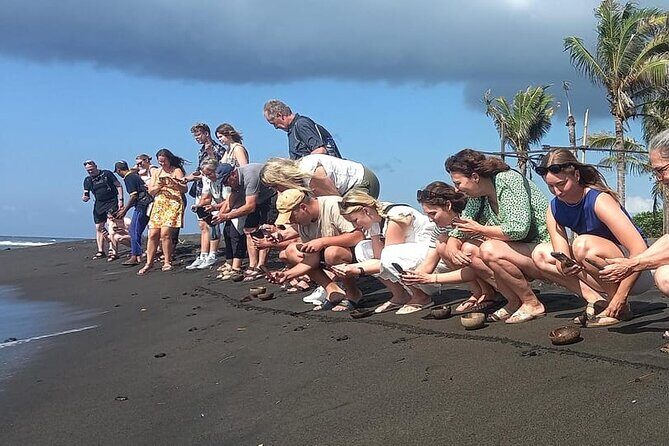 Bali Horse Riding and Turtle Release at Saba Beach - Authenticity and Traveler Feedback