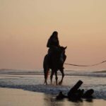 Bali: Horse Riding Sanur Beach Experience with Transport - The Itinerary Breakdown