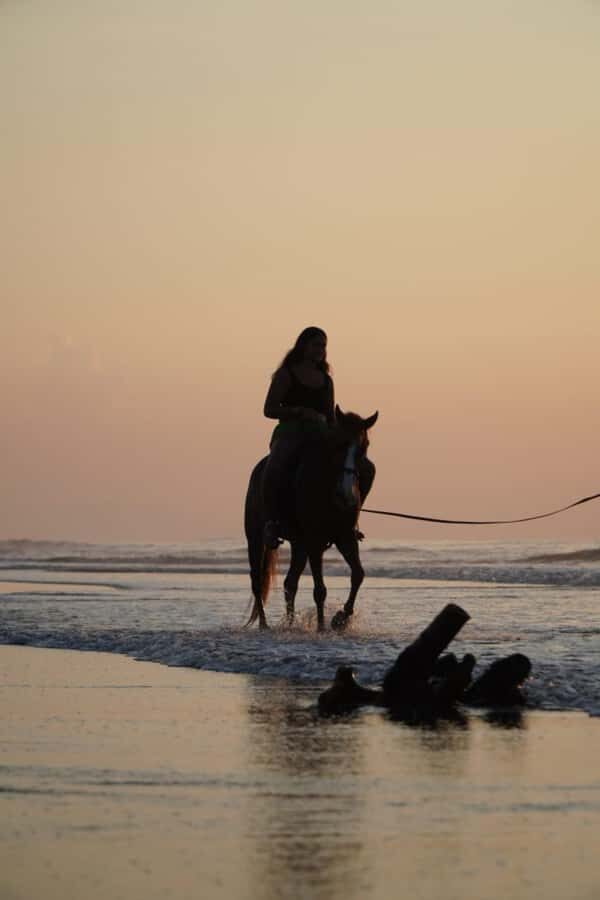 Bali: Horse Riding Sanur Beach Experience with Transport - The Itinerary Breakdown