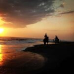 Bali: Horseback Riding Tour - Rice Fields & Pig Stone Beach - What to Expect From the Tour