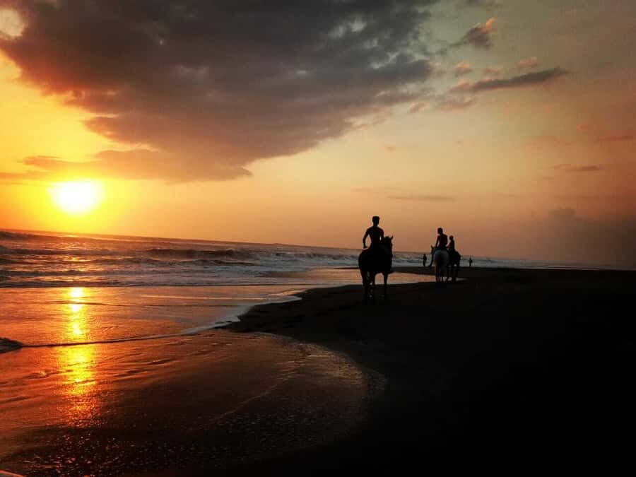 Bali: Horseback Riding Tour - Rice Fields & Pig Stone Beach - What to Expect From the Tour