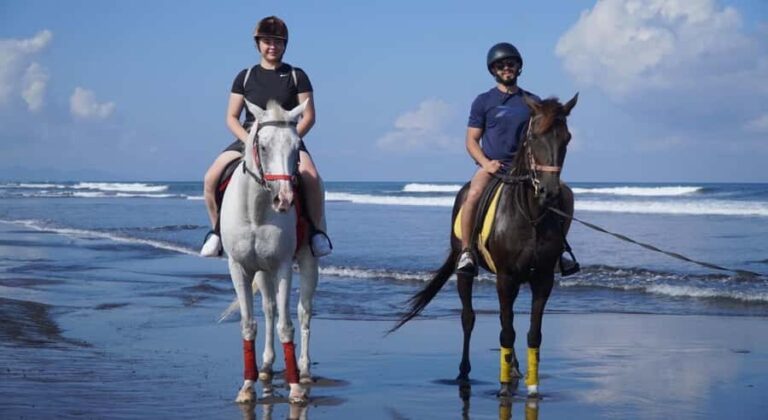 Bali: Horseback Riding Tour with Hotel Transfer - The Experience Provider: Widi Bali Travel Fun