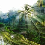 Bali Instagram Private Tour - Frequently Asked Questions