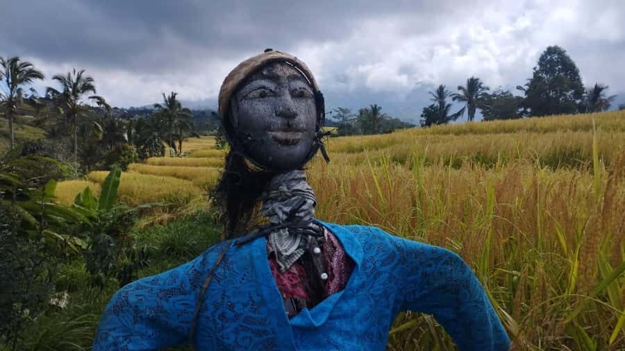 Bali: Jatiluwih Full-Day E-Bike and Trekking Tour - Who Will Enjoy This Tour?