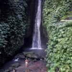 Bali: Jatiluwih Rice Terrace, Leke-Leke & Ulun Danu Beratan - Practical Details and What to Expect