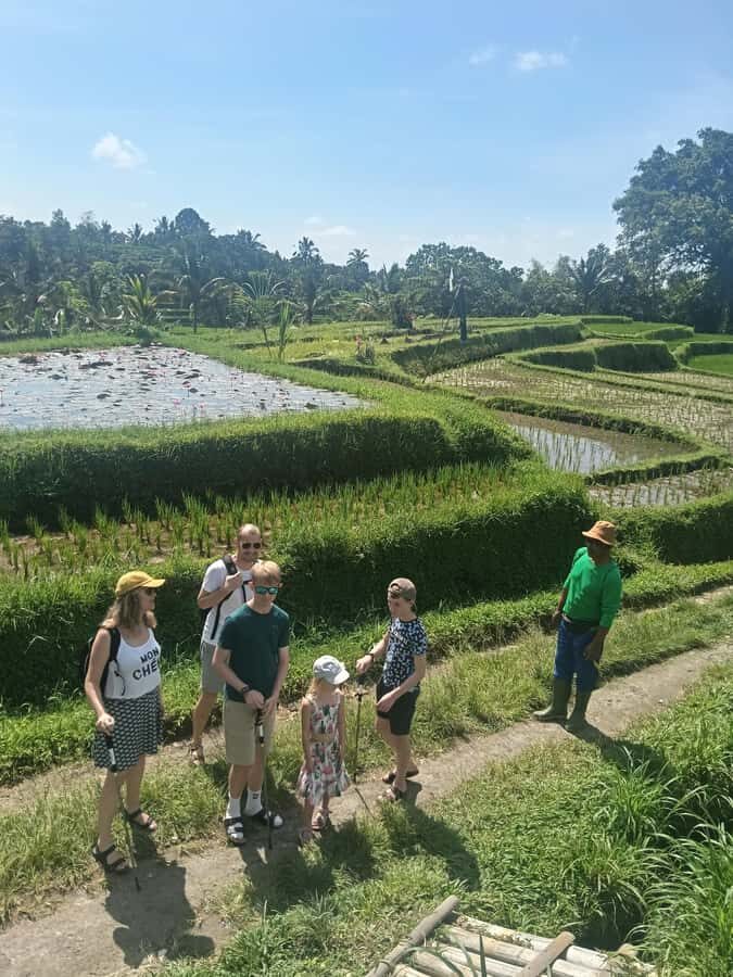 Bali: Jatiluwih Trek via Senganan Village with local guide - An In-Depth Look at the Tour