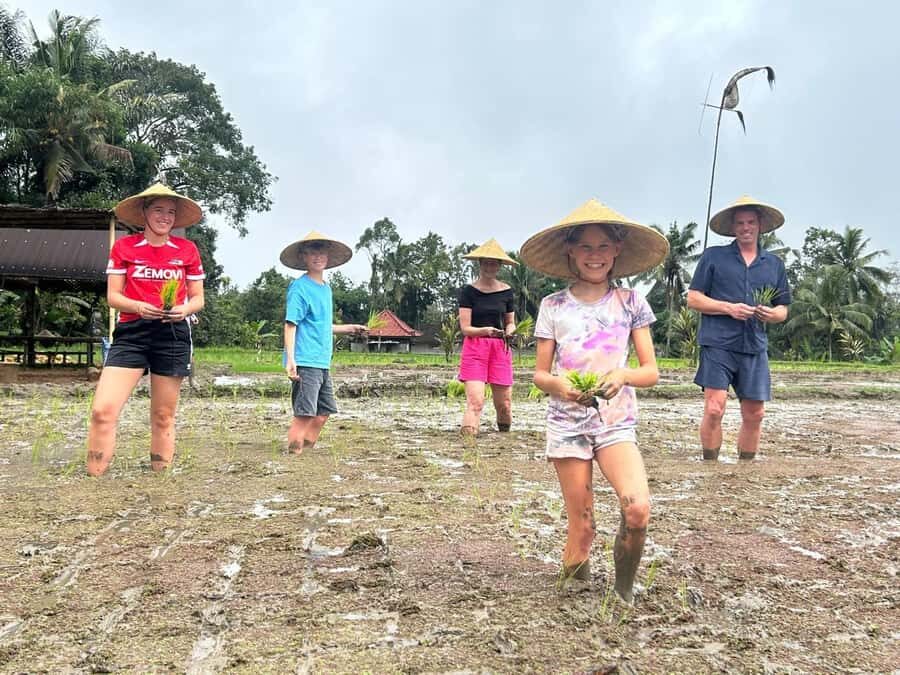 Bali: Kedisan Sustainable Farming and Nature Tour - Who Should Consider This Tour?