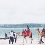 Bali: Kelan Beach Camel Rides Experiences - Pricing and Value