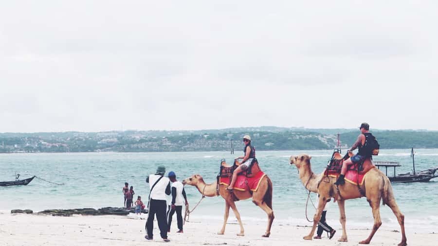 Bali: Kelan Beach Camel Rides Experiences - Pricing and Value