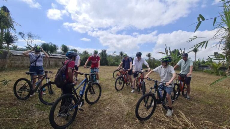 Bali: Kintamani Downhill Bike Tour and Natural Jungle Swim - The Highlights of the Tour