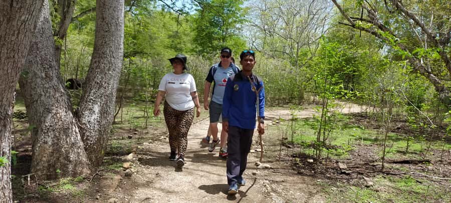 Bali: Komodo Island Guided Day Trip with Lunch and Snacks - Value and Practical Considerations