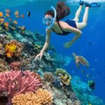Bali: Labuhan Amuk Snorkeling & Blangsinga Waterfall Tour - What to Expect on This Tour