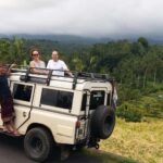 Bali: Land Rover Jeep Tour Kintamani & Ubud Swing - Who Should Book This Tour?