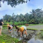 Bali: Legung Luwih Tabanan Village Activities - What Visitors Say