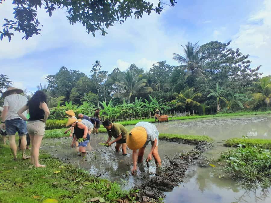 Bali: Legung Luwih Tabanan Village Activities - What Visitors Say