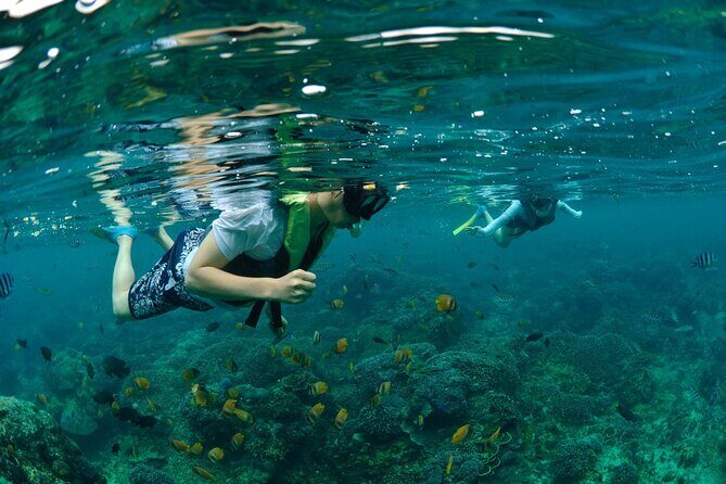 Bali Lembongan Island Beach Club Day Trip - Who Will Love This Tour?