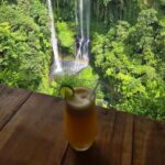 Bali: Lemukih Waterslide, Water Jumping & Waterfalls Tour - Who Will Love This Tour?