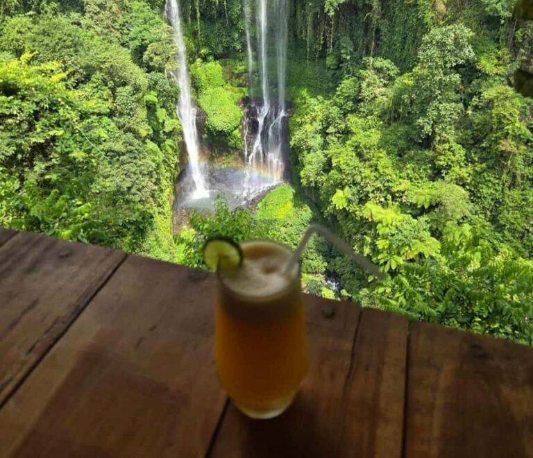 Bali: Lemukih Waterslide, Water Jumping & Waterfalls Tour - Who Will Love This Tour?
