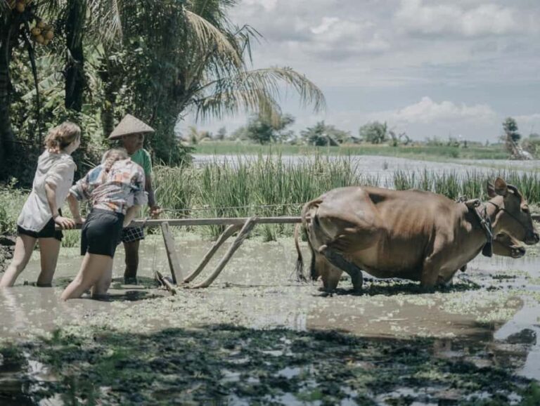 Bali: Local Village and School Tour with Lunch - Who Will Enjoy This Tour?