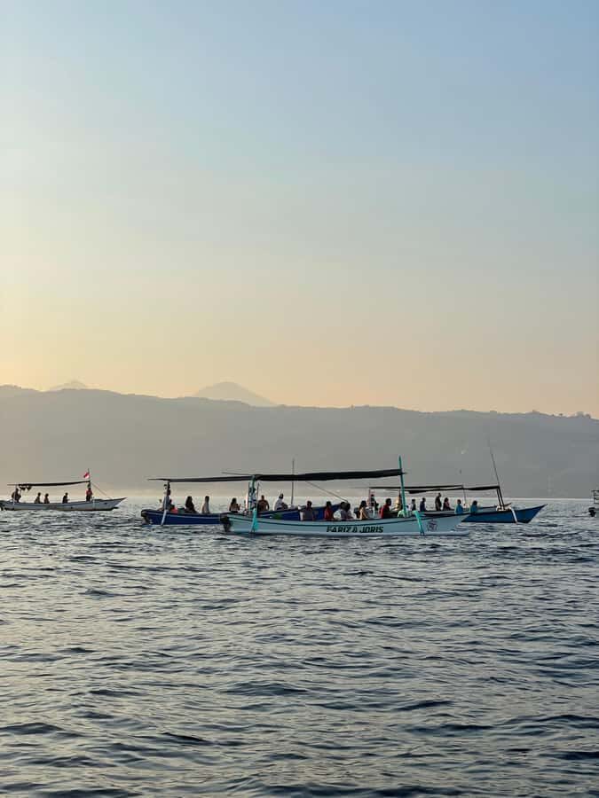 Bali: Lovina Beach Meet Dolphins and Sunrise Catcher - Who Will Love This Tour